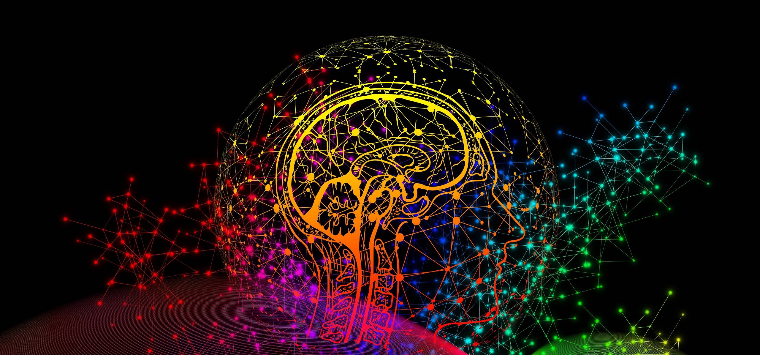 Grupo internacional de Metacognición – Generando aprendizajes con un ...